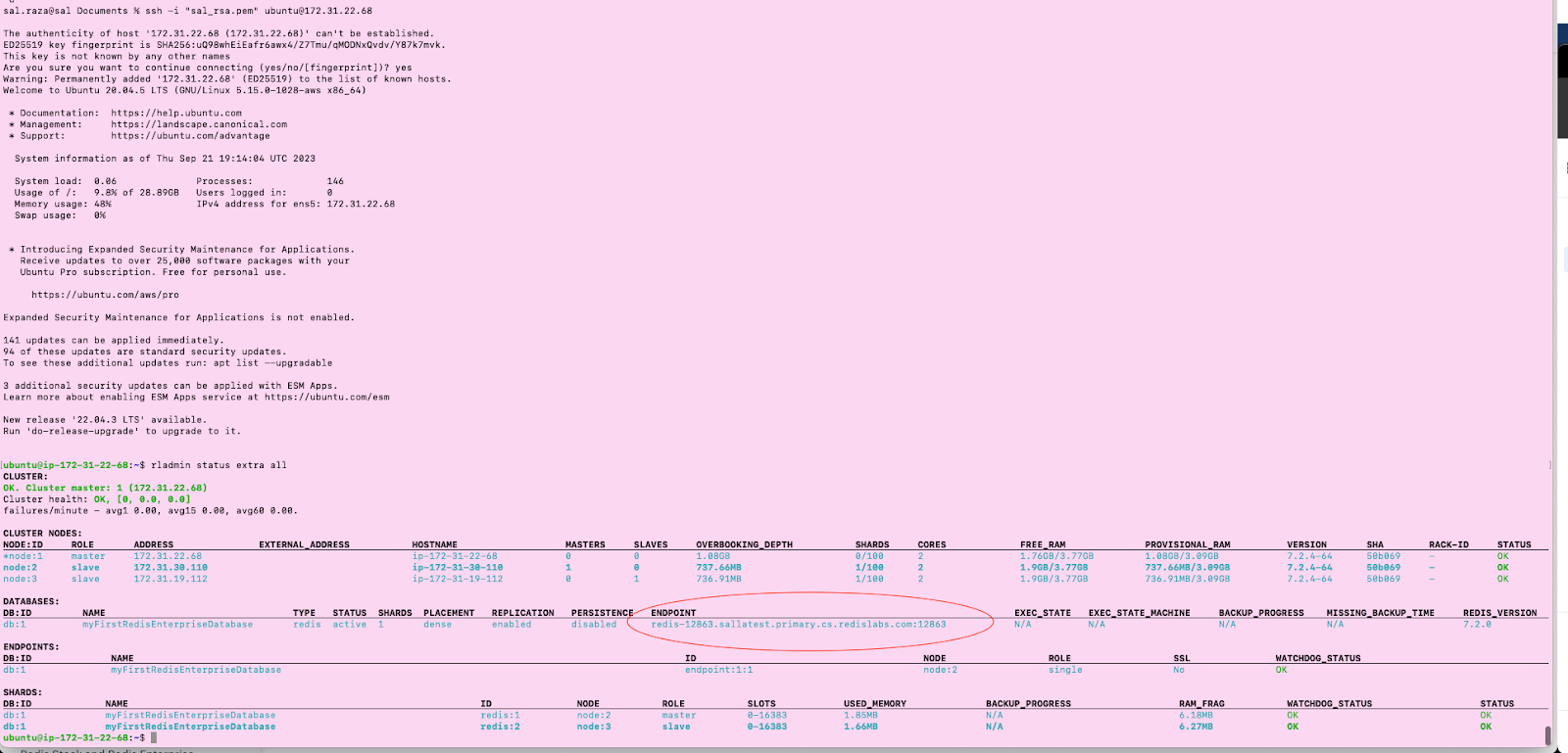 Connecting to Your Database – Redis Knowledge Base